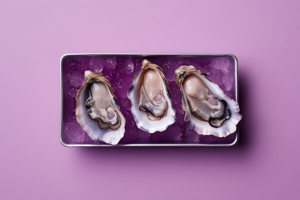 Steamed oysters seafood purple invertebrate. | Free Photo - rawpixel