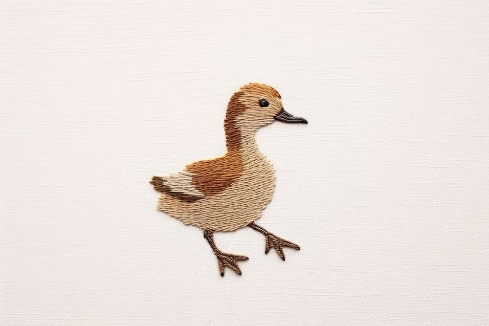 Duck walking pattern animal bird. | Premium Photo - rawpixel