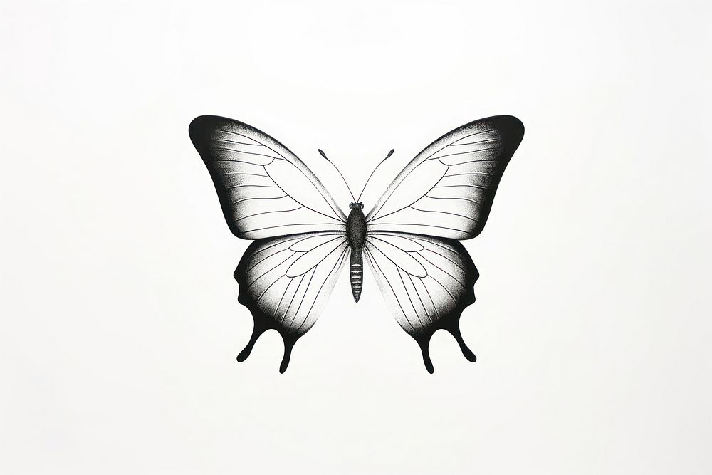 Butterfly butterfly drawing insect. AI | Premium Photo Illustration ...