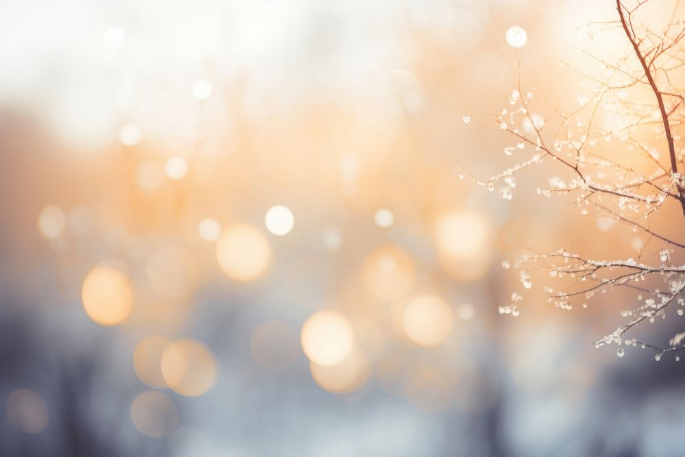Winter light backgrounds sunlight. AI | Free Photo - rawpixel