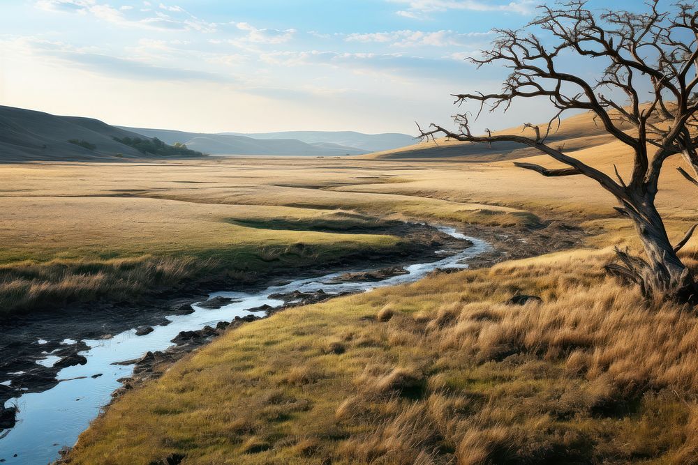 Grasslands landscape outdoors nature. | Premium Photo - rawpixel