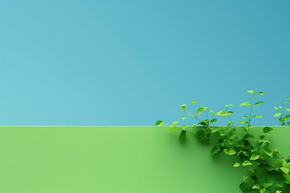 Minimal green background nature backgrounds | Free Photo - rawpixel