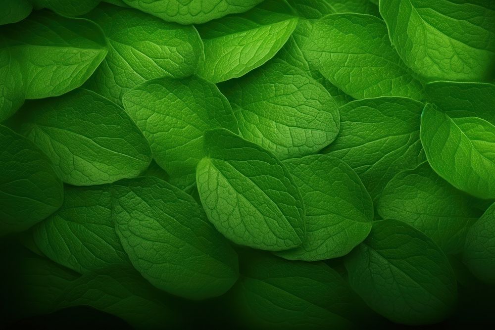 Green textured background green backgrounds | Free Photo - rawpixel