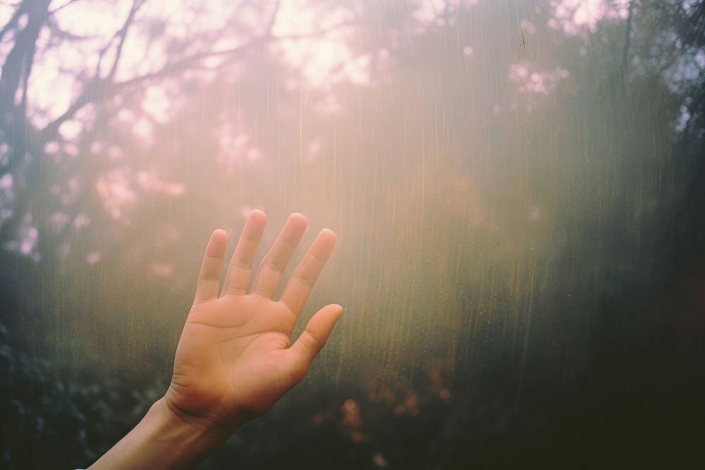 Hand photography outdoors nature. | Free Photo - rawpixel