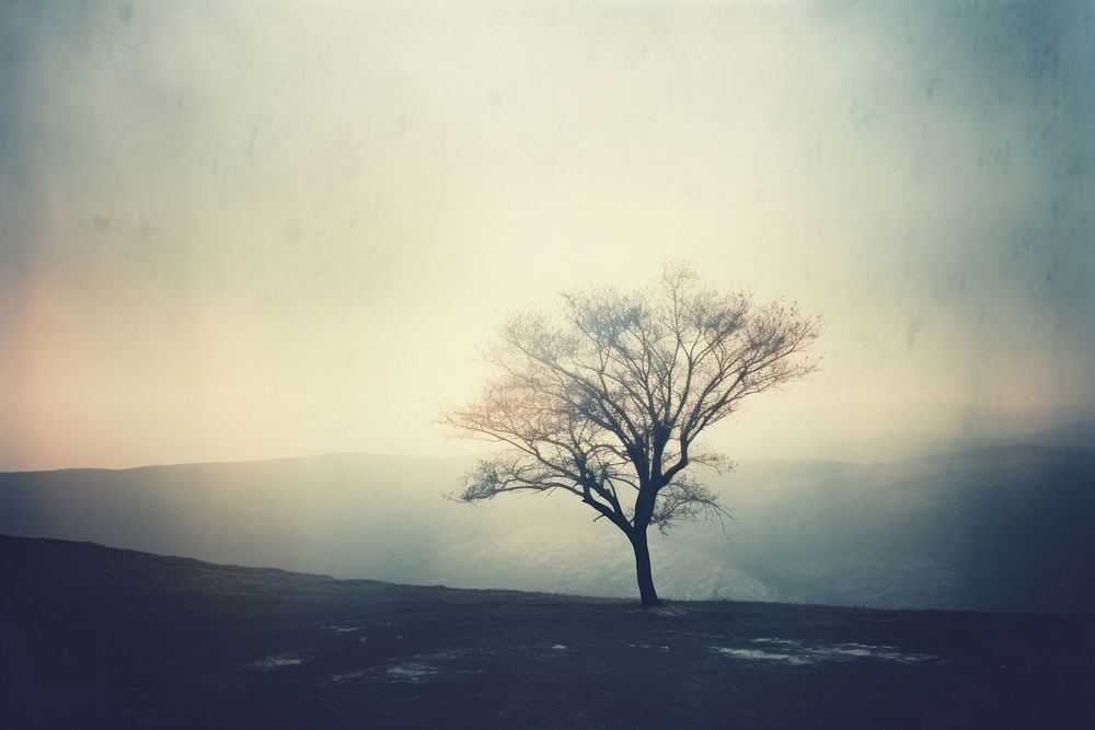 Lonely tree landscape outdoors nature. | Premium Photo - rawpixel