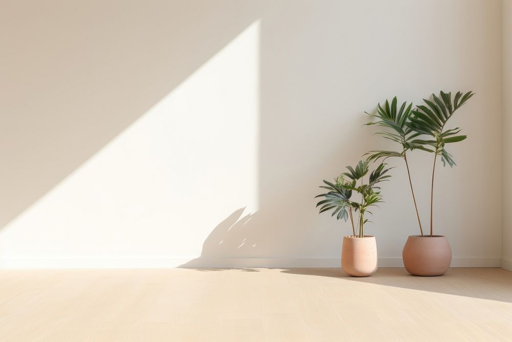 Warm architecture shadow plant. AI | Free Photo - rawpixel