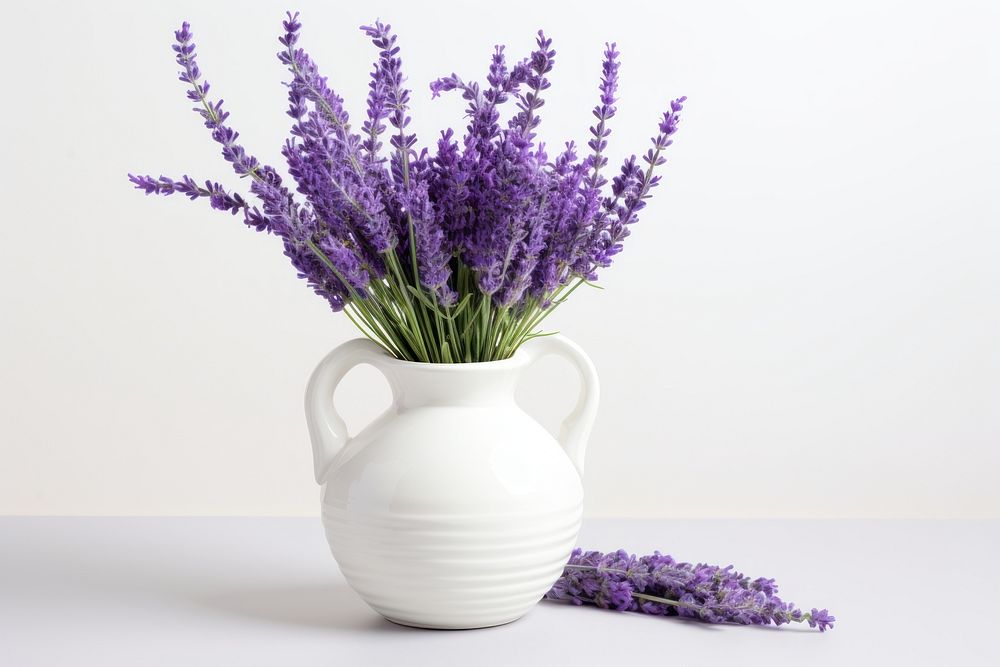 Lavender vase blossom flower plant. | Premium Photo - rawpixel