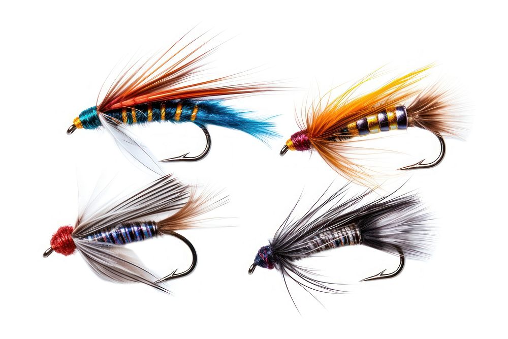 Fly fishing white background lightweight | Free Photo - rawpixel