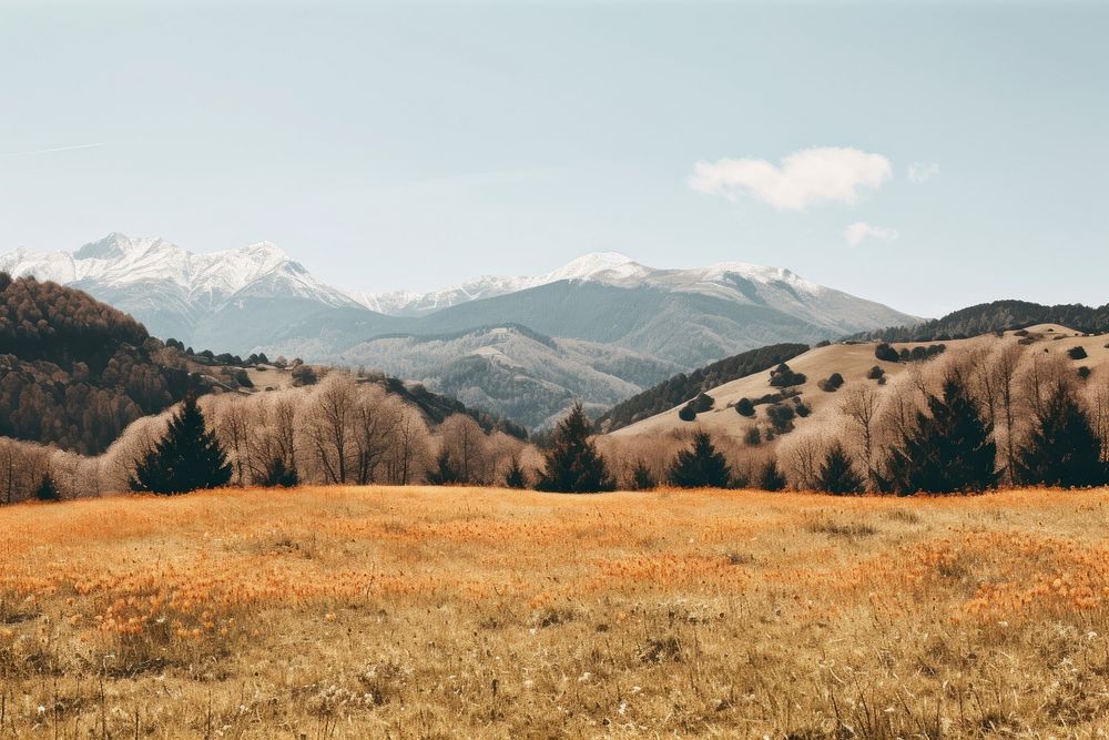 Orange spring forest landscape mountain | Free Photo - rawpixel