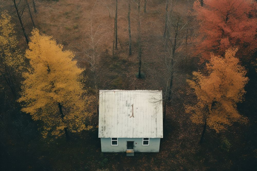 littel house woodland architecture landscape | Free Photo - rawpixel