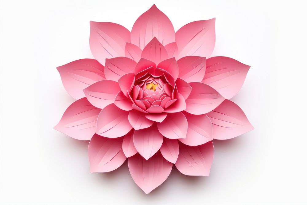Lotus flower dahlia petal. | Free Photo - rawpixel