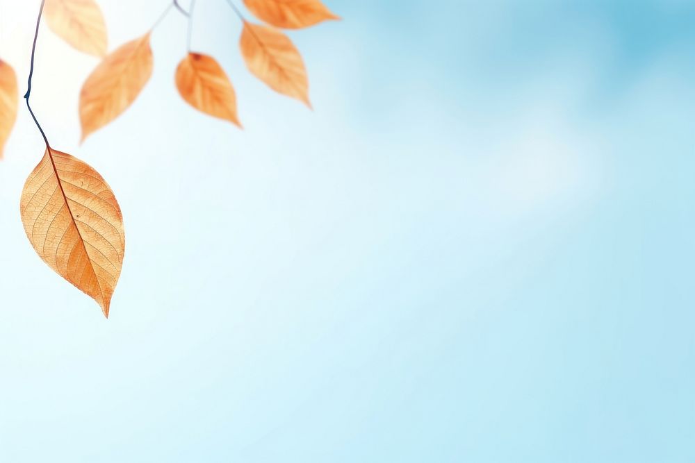 Leaves floating air outdoors nature | Free Photo - rawpixel