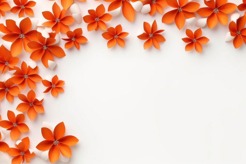 Orange flower backgrounds pattern petal. | Free Photo - rawpixel