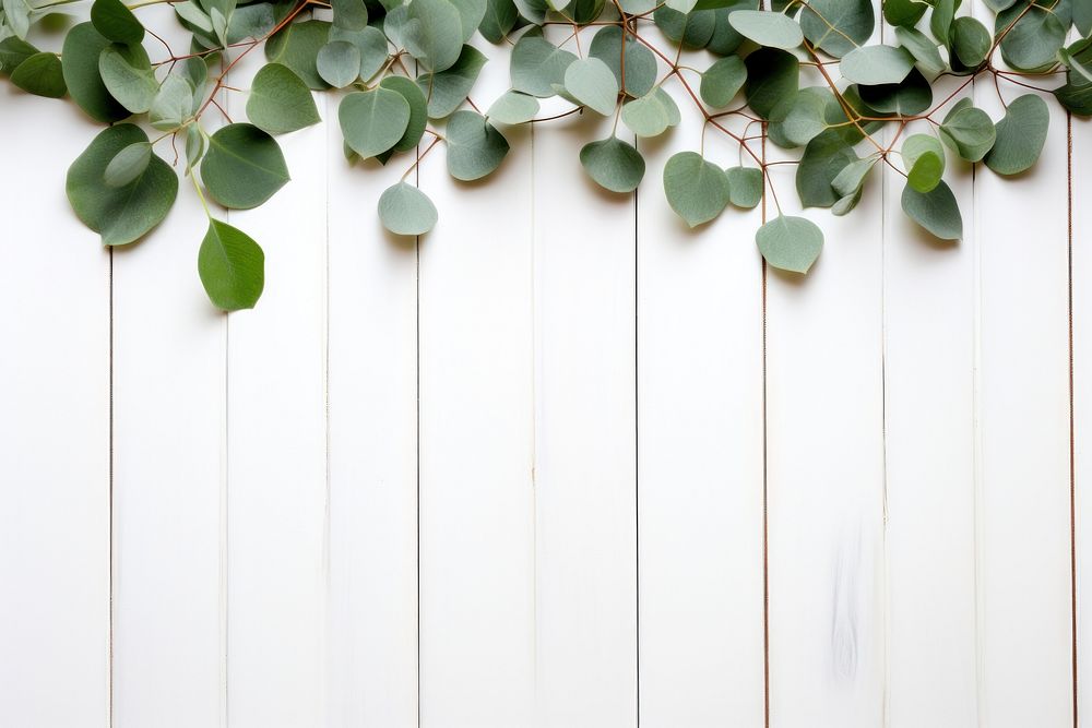 Eucalyptus leaves wood backgrounds plant | Premium Photo - rawpixel