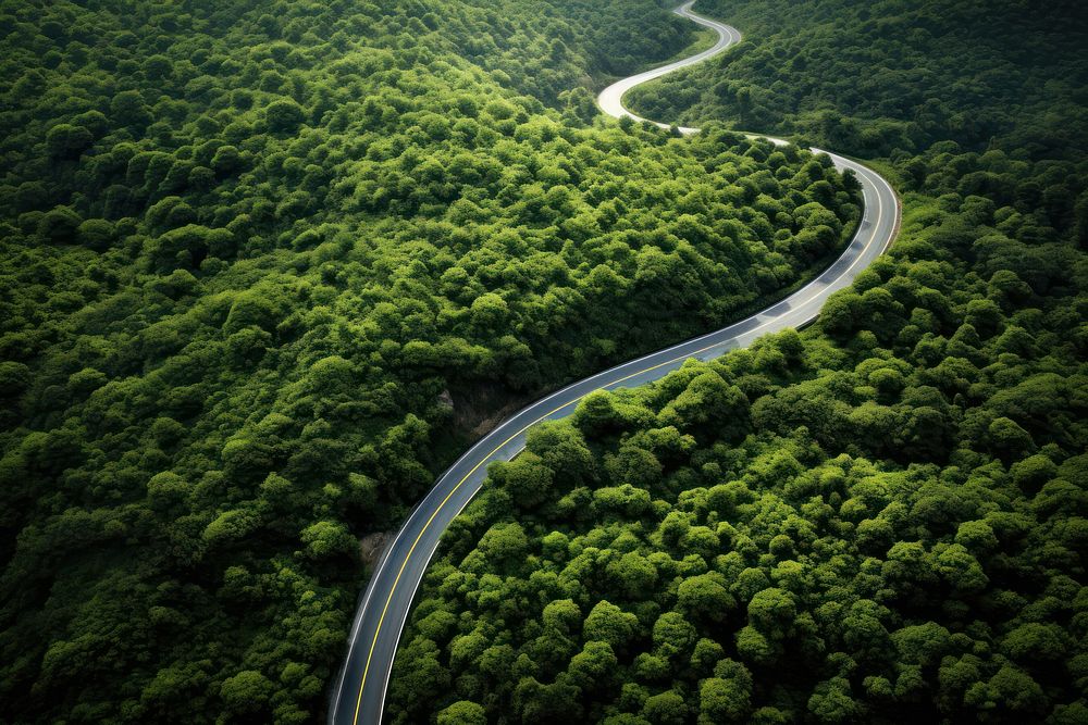 Tree road vegetation outdoors. AI | Premium Photo - rawpixel