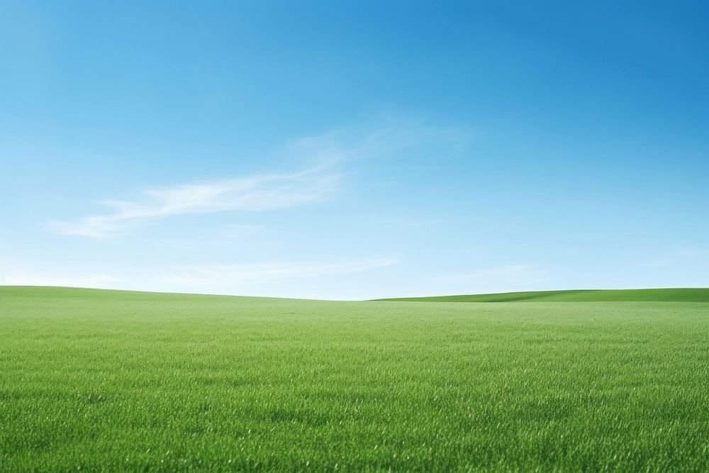 grassy field clear blue sky | Free Photo - rawpixel