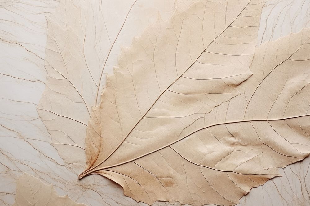 Autumn maple texture plant leaf. | Premium Photo - rawpixel