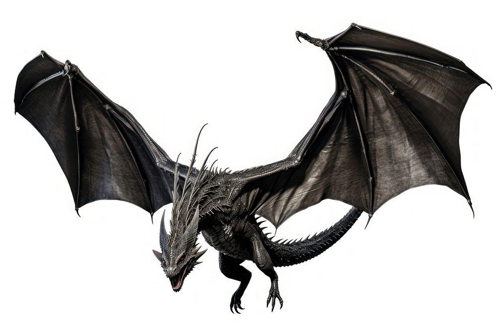 Black dragon animal wing white | Premium Photo - rawpixel