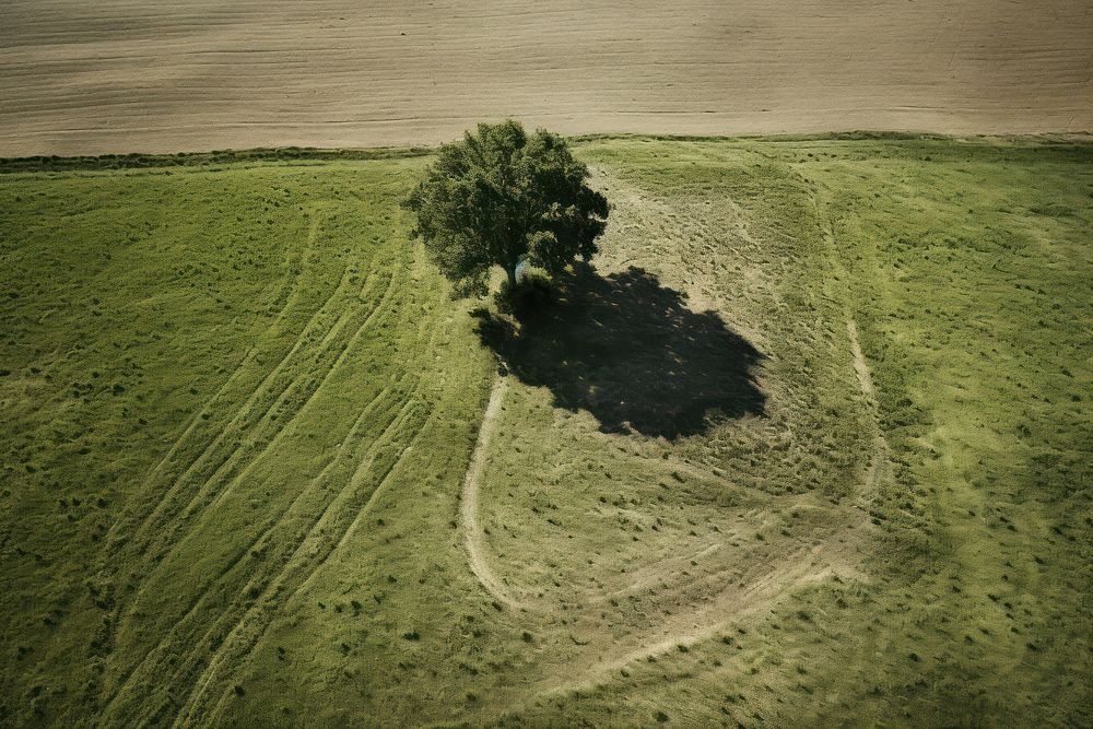 Land Plot landscape grassland outdoors. | Premium Photo - rawpixel