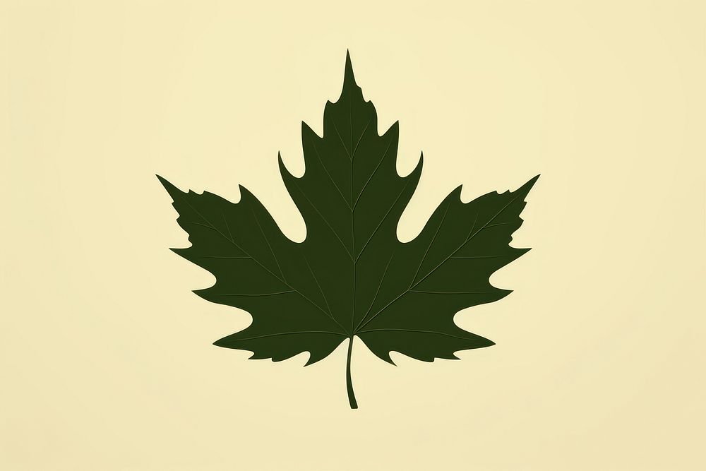 Leaf plant shape pattern. AI | Premium Photo Illustration - rawpixel