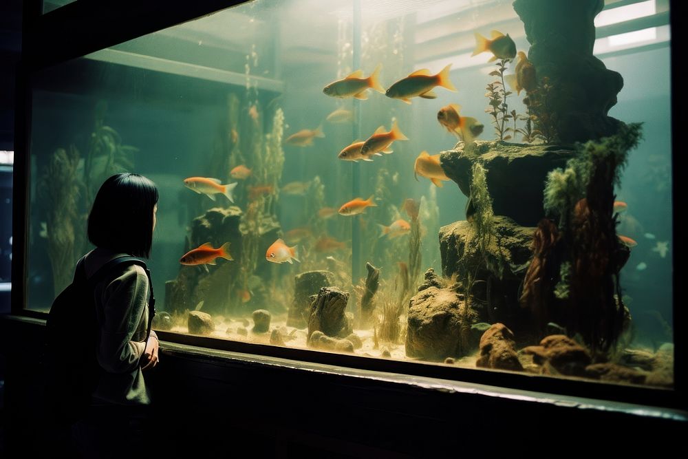 woman watching fish tank aquarium | Free Photo - rawpixel