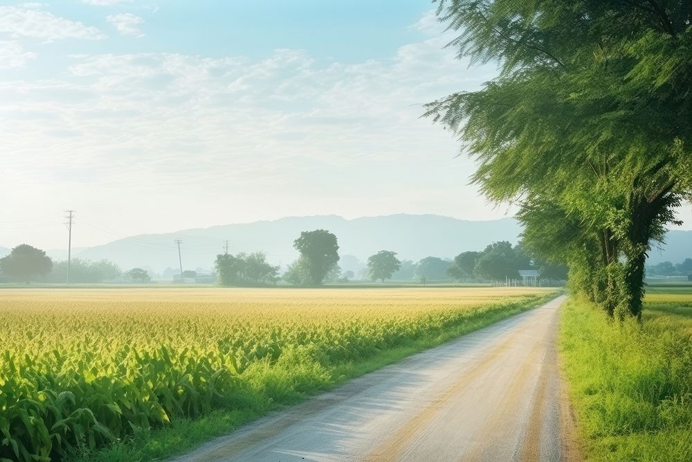 Countryside road landscape outdoors horizon. | Premium Photo - rawpixel