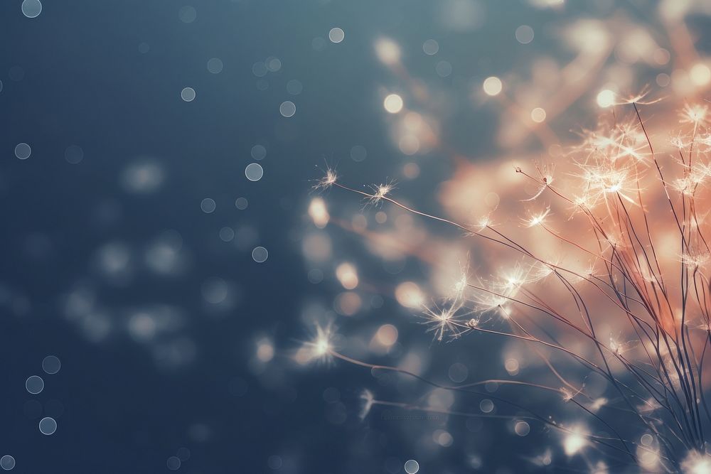 Spark dandelion fireworks outdoors. AI | Free Photo - rawpixel