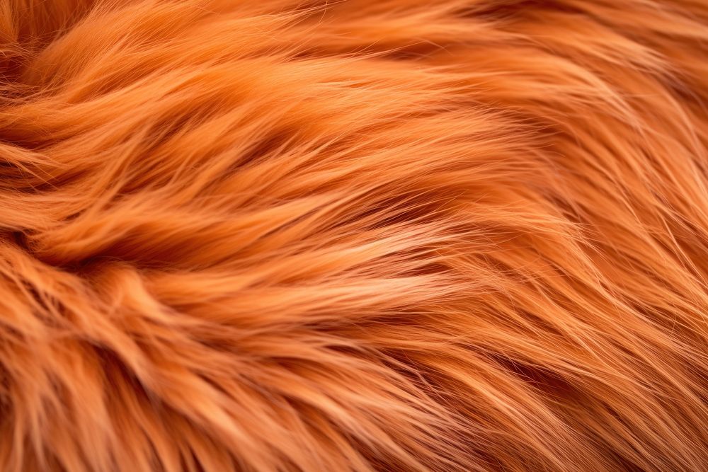 Orange cat hair texture fur | Premium Photo - rawpixel