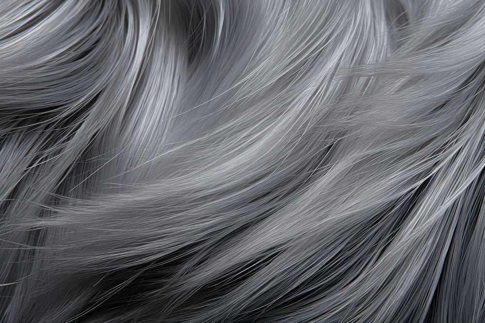 Grey animal hair texture pattern | Free Photo - rawpixel