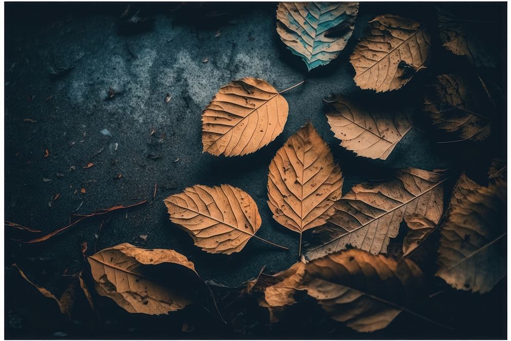 Autom Leaf Background Images | Free Photos, PNG Stickers, Wallpapers ...