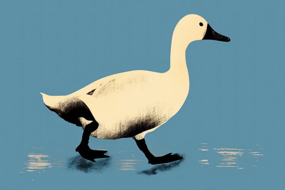 Duck animal goose bird. AI | Premium Photo Illustration - rawpixel
