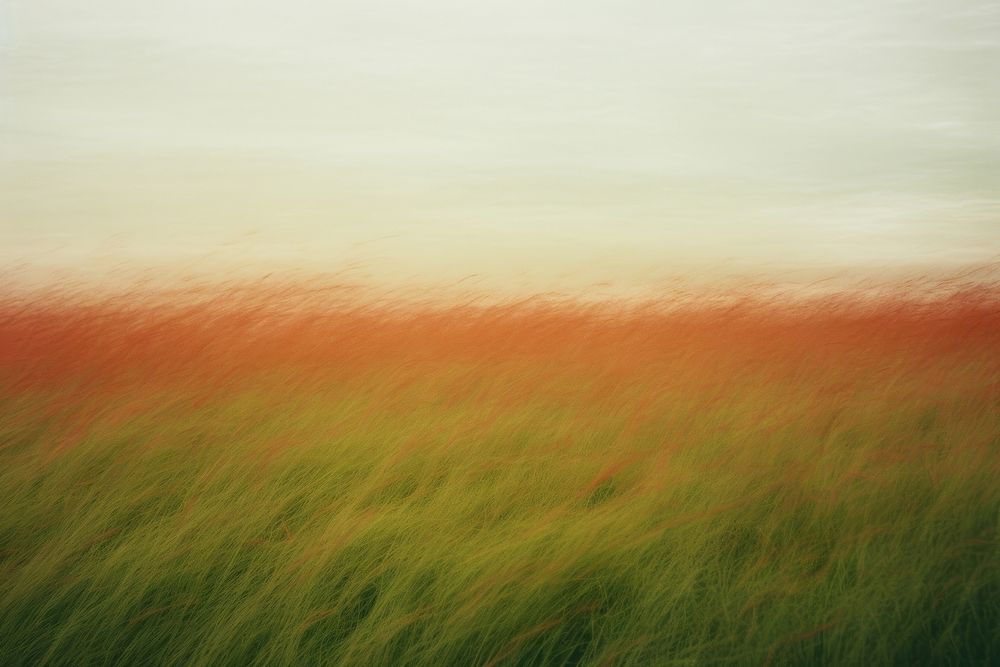 minimal-large grass feild grassland landscape | Free Photo - rawpixel