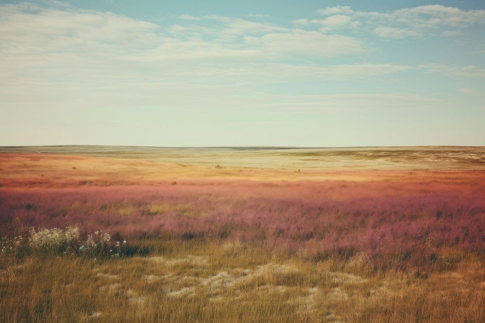 minimal-large grassland landscape outdoors horizon. | Premium Photo ...