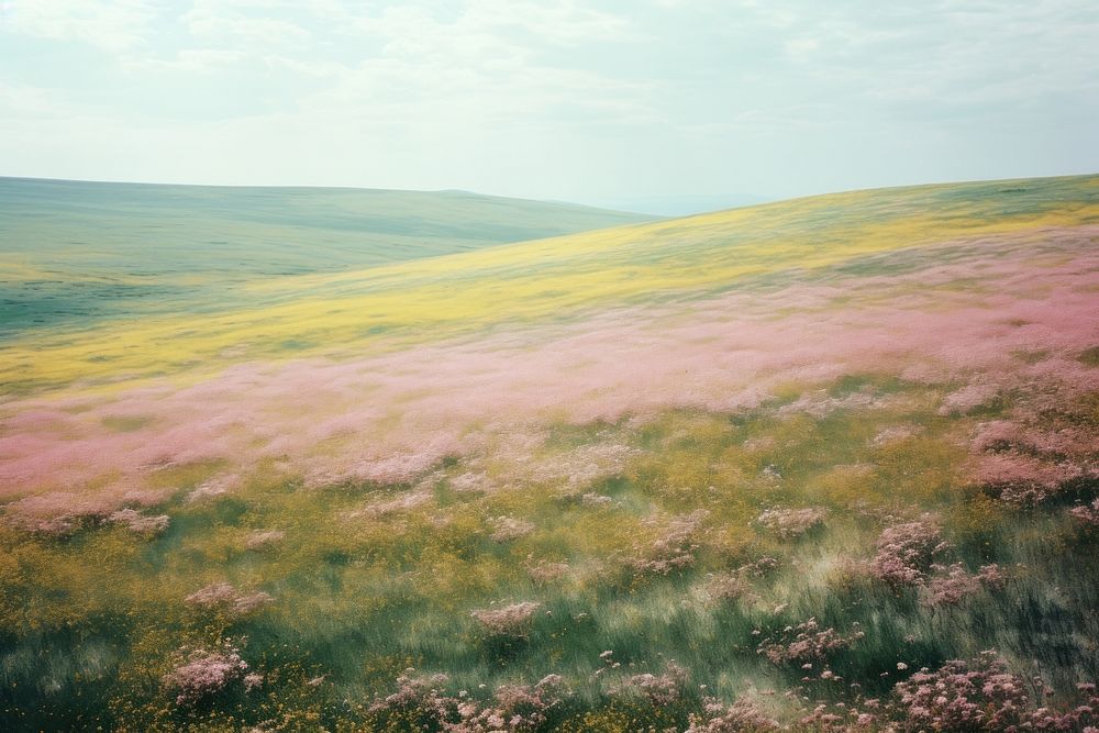 minimal-large grassland landscape outdoors nature. | Premium Photo ...