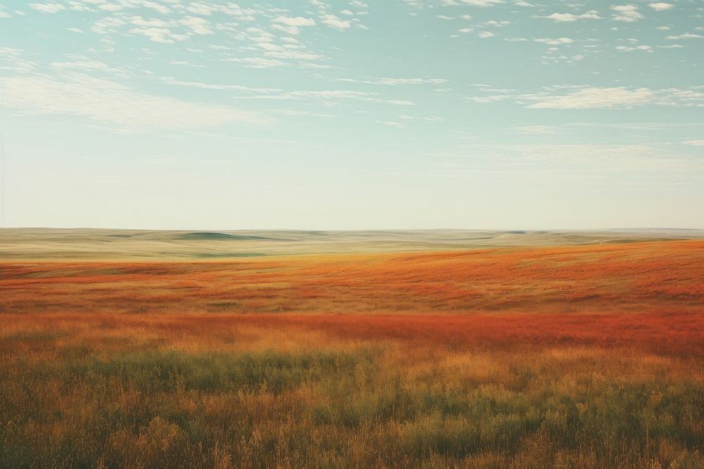 minimal-large grassland landscape outdoors horizon. | Premium Photo ...