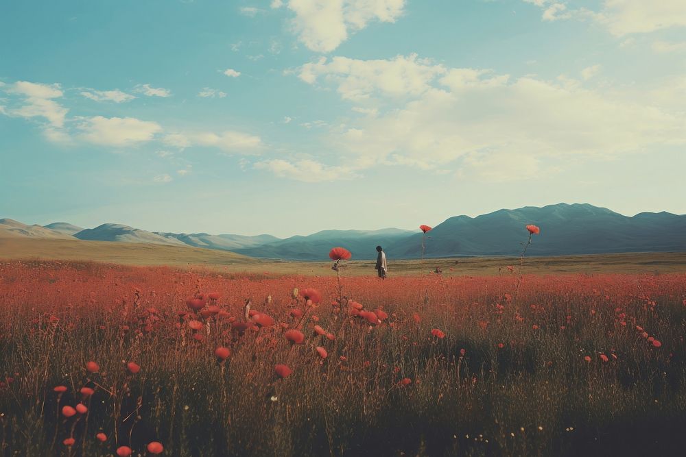 Eid Mubarak landscape grassland outdoors. | Free Photo - rawpixel