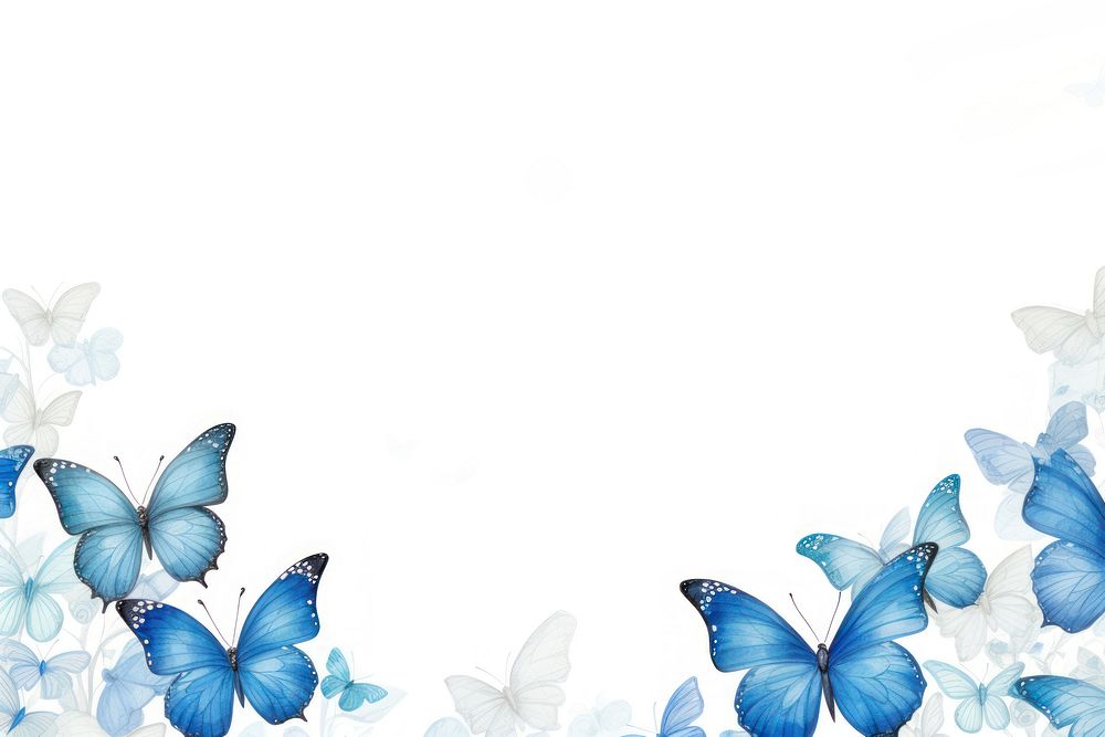 Blue butterfly border backgrounds insect | Premium Photo Illustration ...