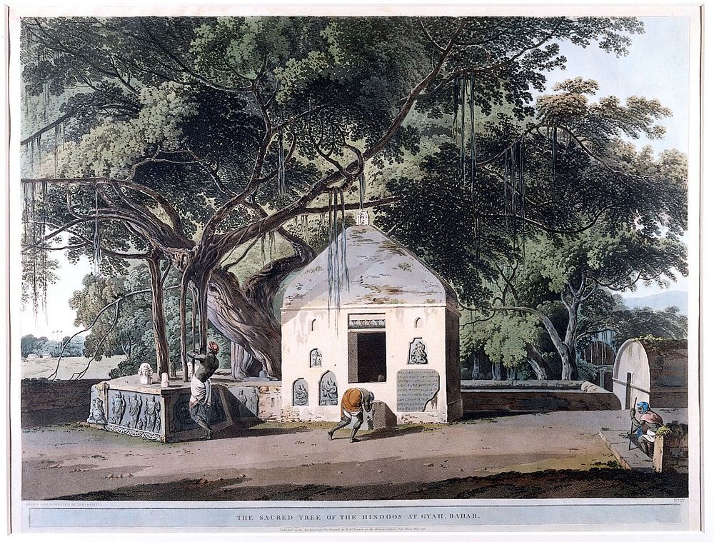 Banyan tree Hindu shrine Gaya, | Free Photo Illustration - rawpixel