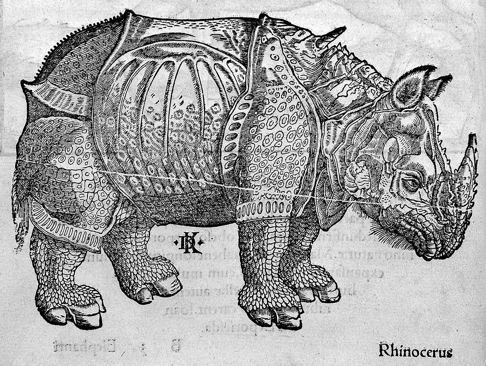 Prodigiorum ac ostentorum chronicon, : | Free Photo Illustration - rawpixel