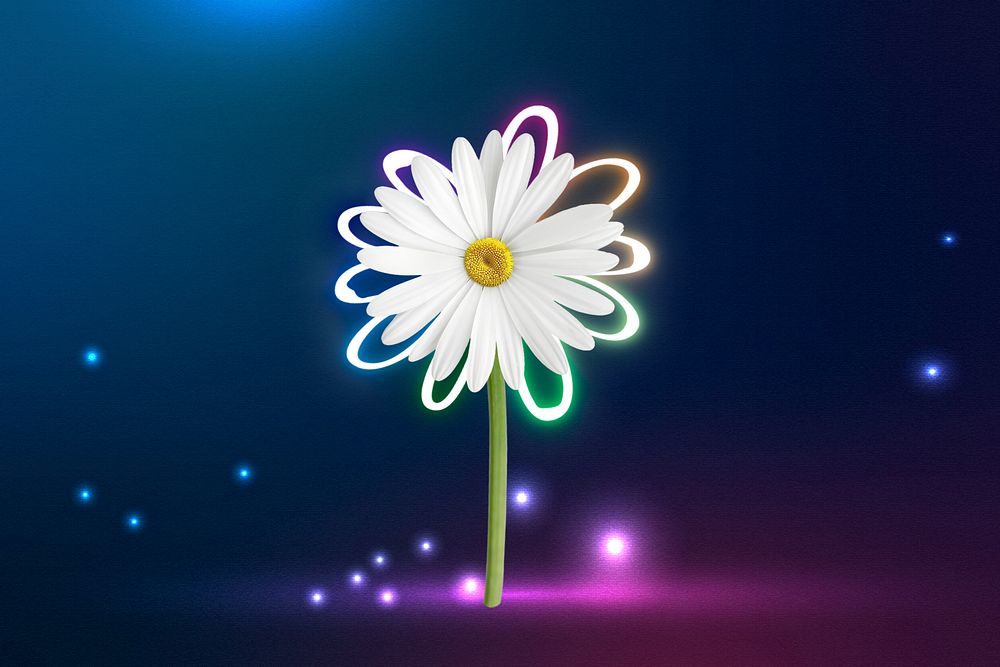 Neon daisy flower background, dark | Premium Photo - rawpixel