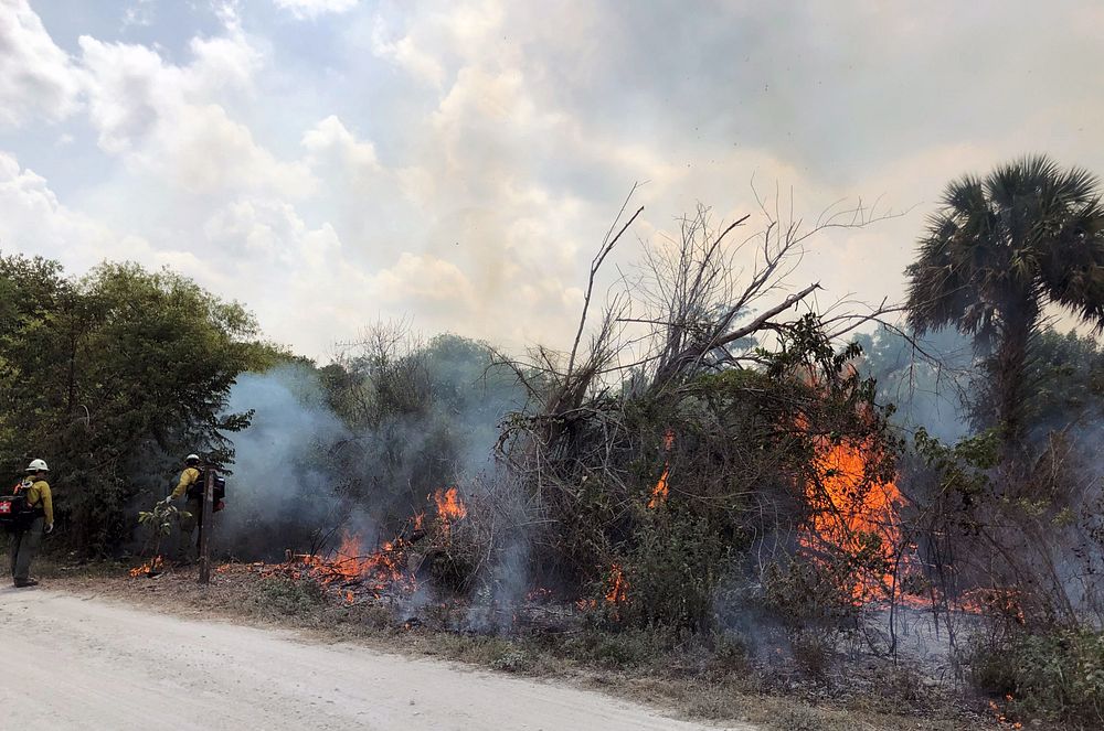 Silver King Fire. The Jackson | Free Photo - rawpixel