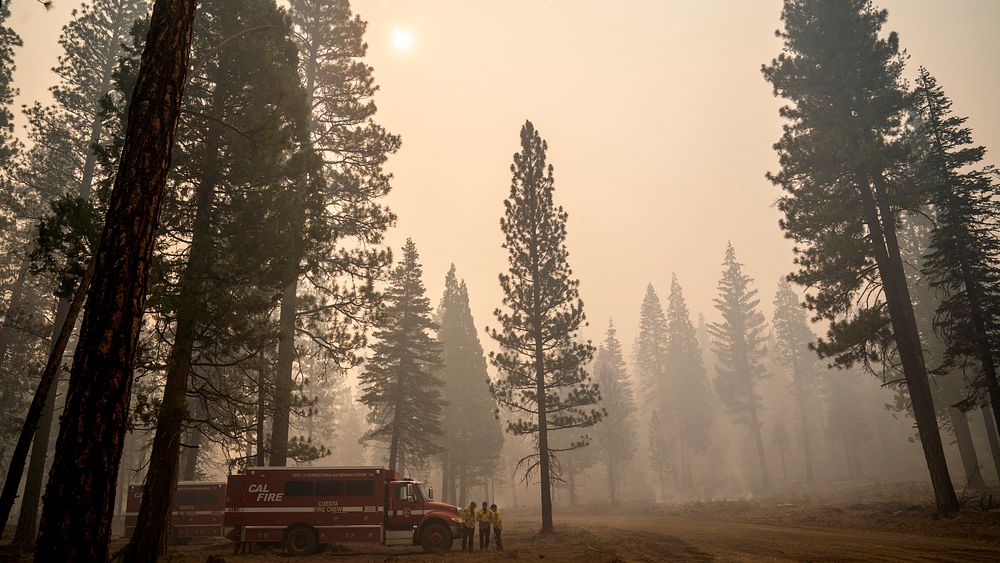 Forest Service, National Park Service | Free Photo - rawpixel