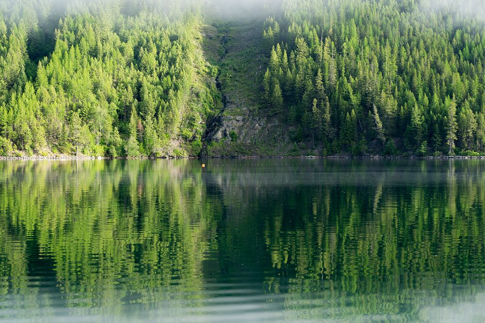 Serene water landscape | Free Photo - rawpixel
