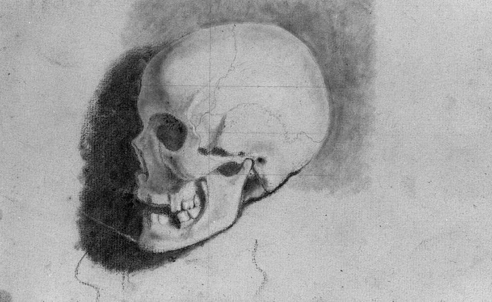 Academic Study Skull (1820s) Antoine | Free Photo Illustration - rawpixel