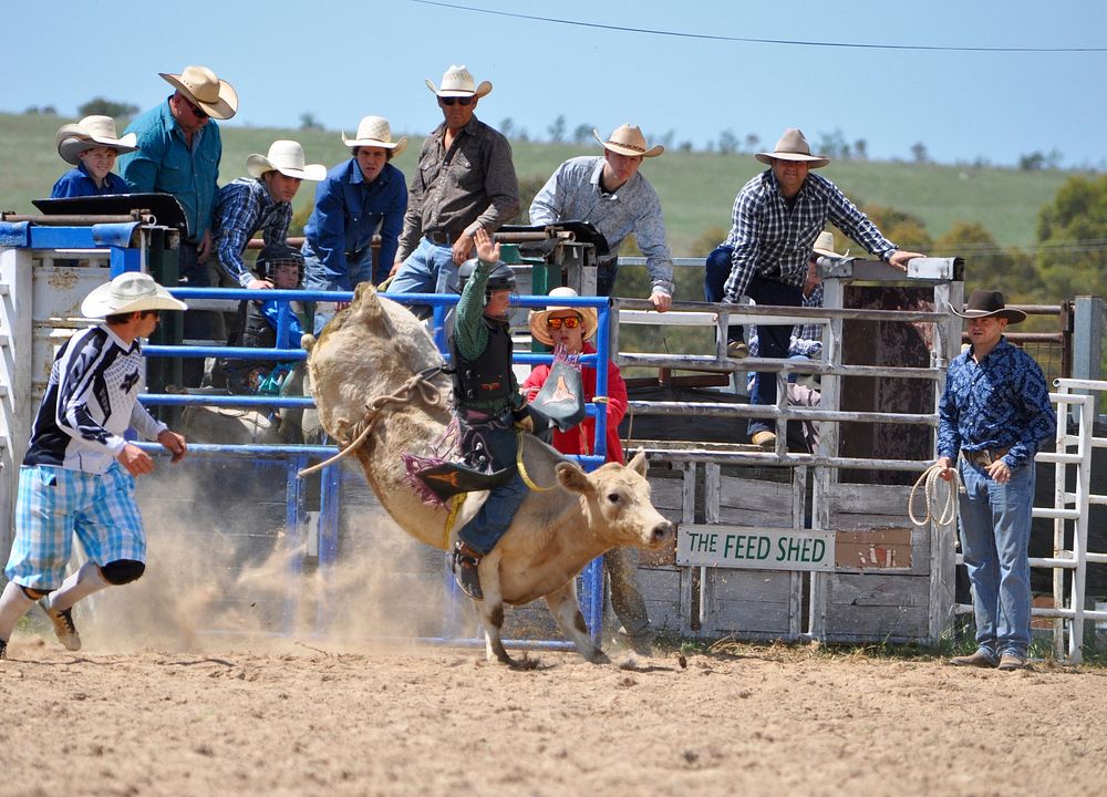 Bull riding Bungendore Rodeo, NSW | Free Photo - rawpixel