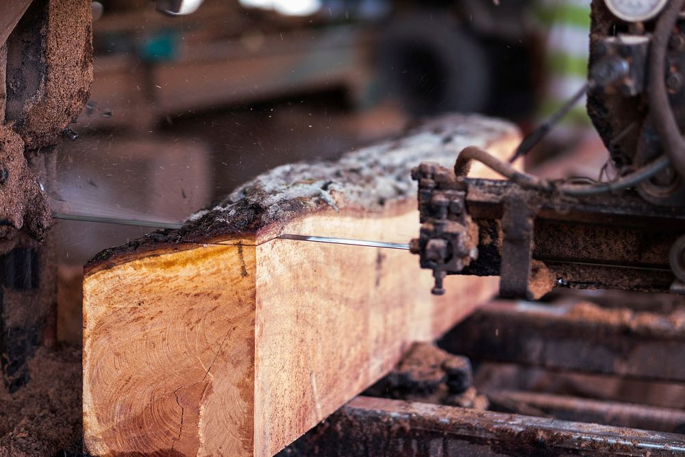 Machine cutting wood lumber. | Free Photo - rawpixel