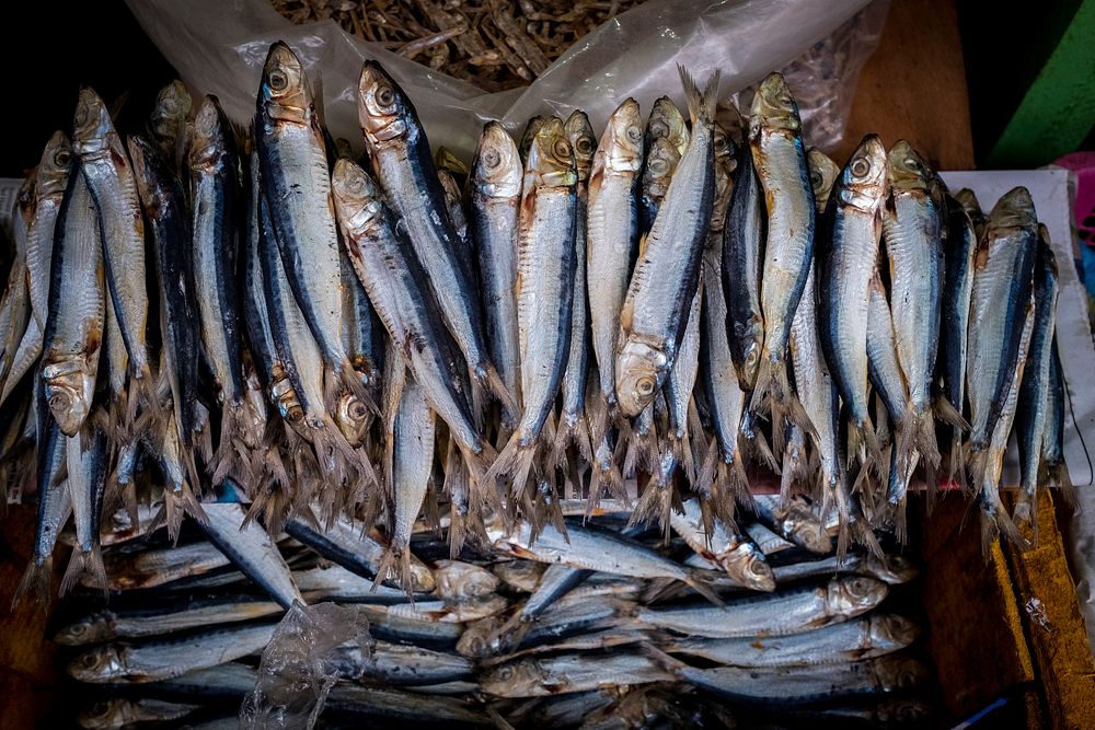 Fish, fresh market in Palawan, | Free Photo - rawpixel