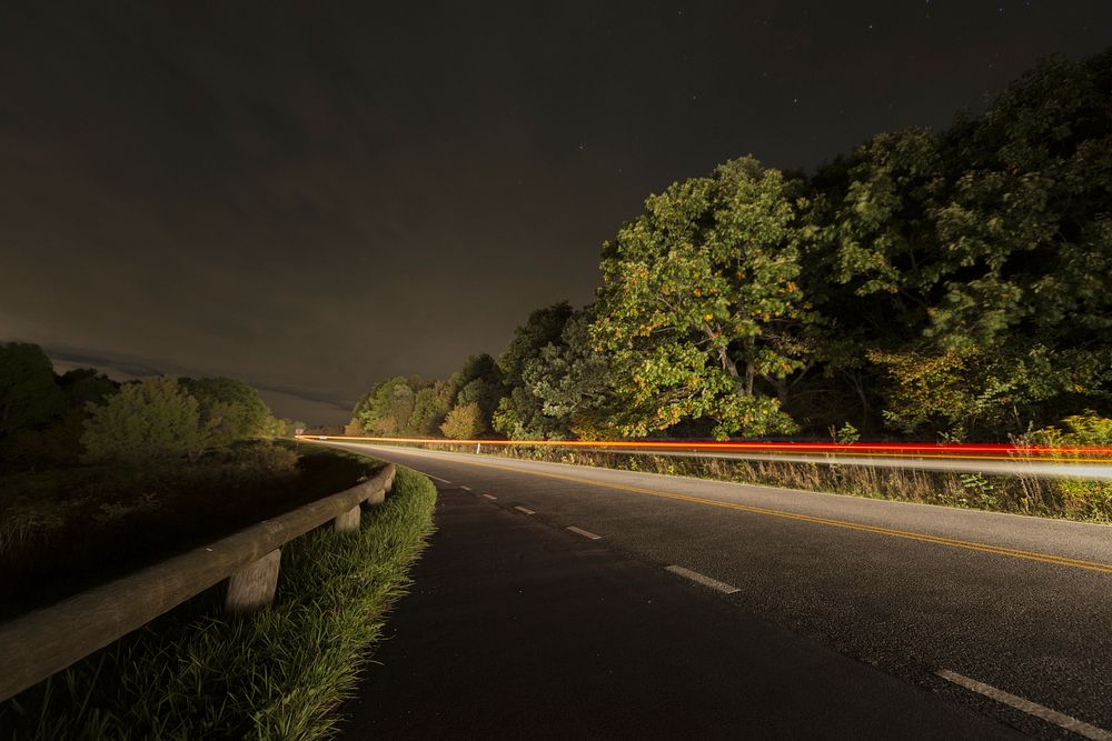 Forest road night. Free public | Free Photo - rawpixel