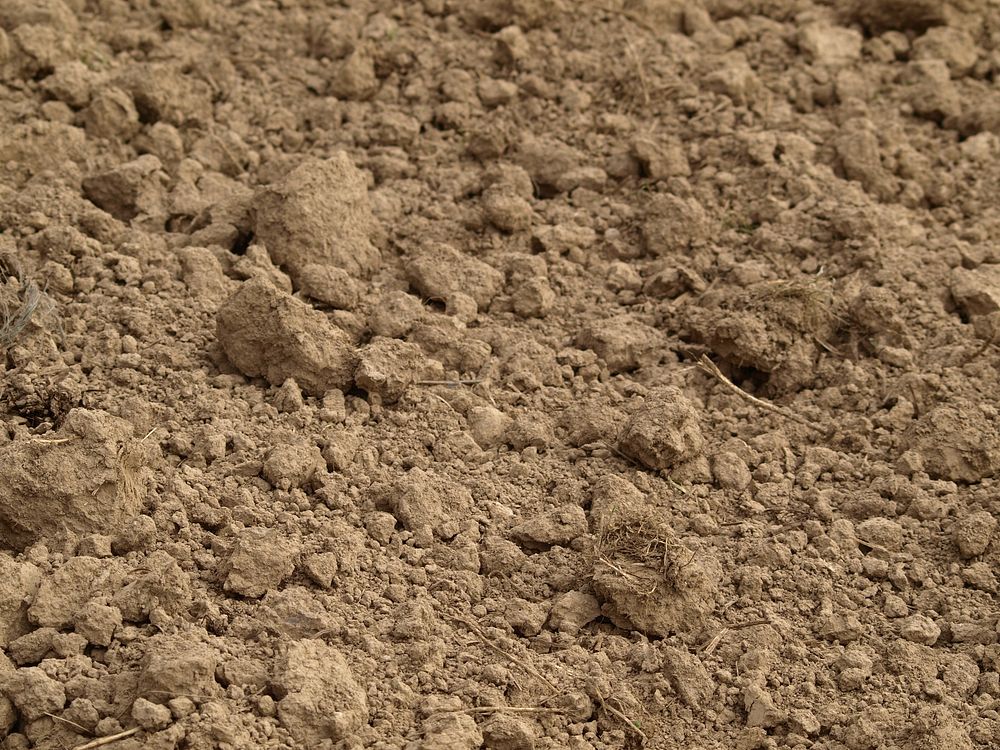 Farm land soil close up. | Free Photo - rawpixel