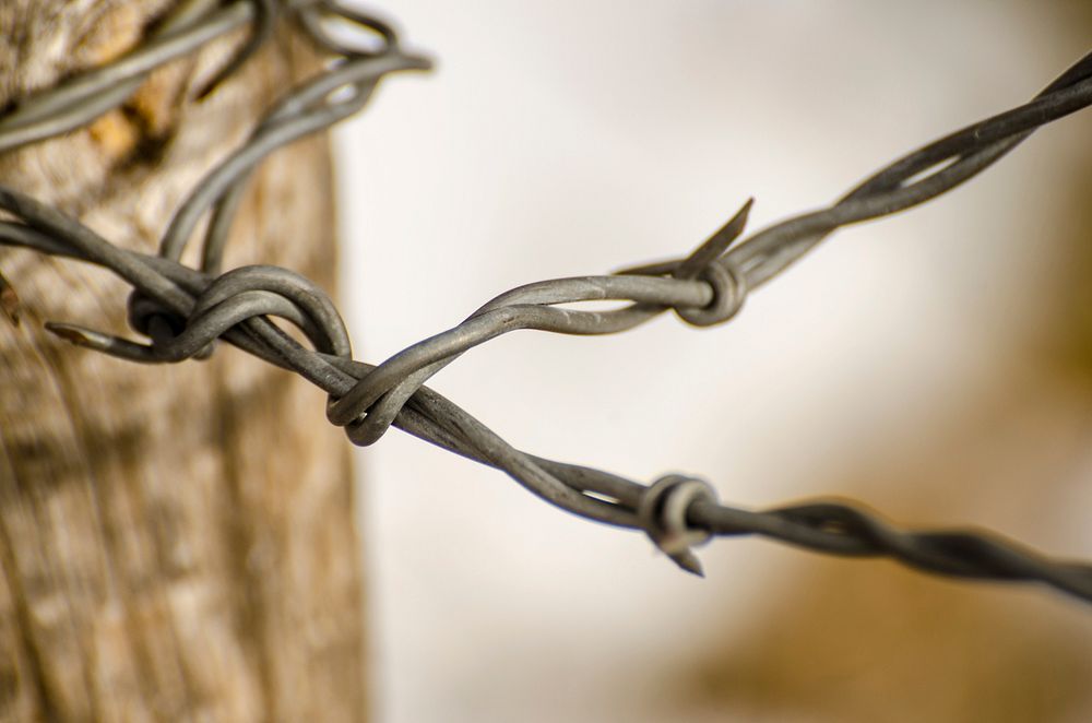 Barbed wire frence. Free public | Free Photo - rawpixel